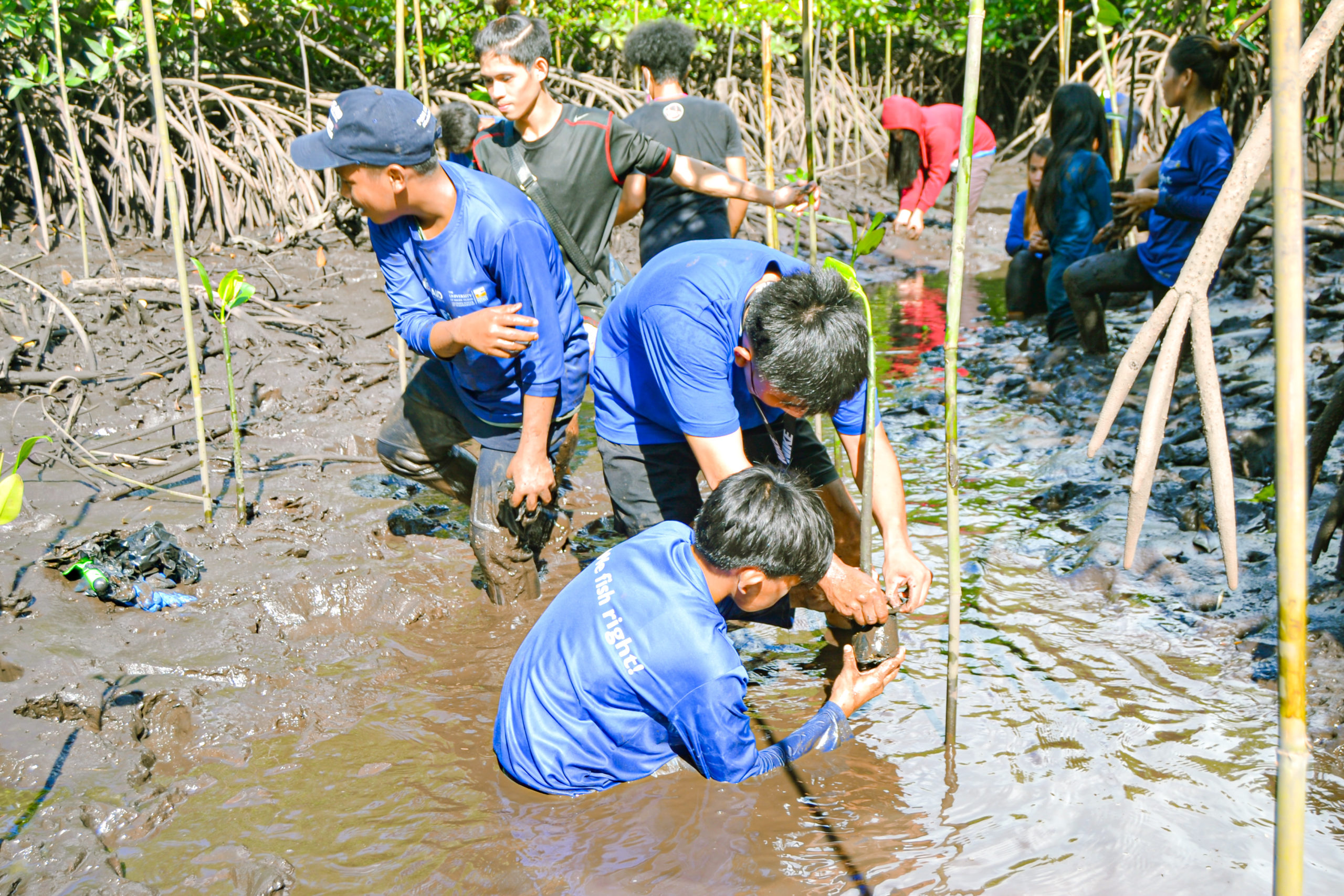GCash–USAID forge alliance for Fish Right Program in Culion, Palawan ...